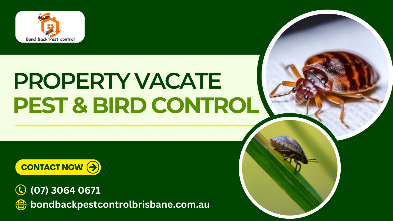 Property Vacate Pest and Bird Control – Why You Must Do It