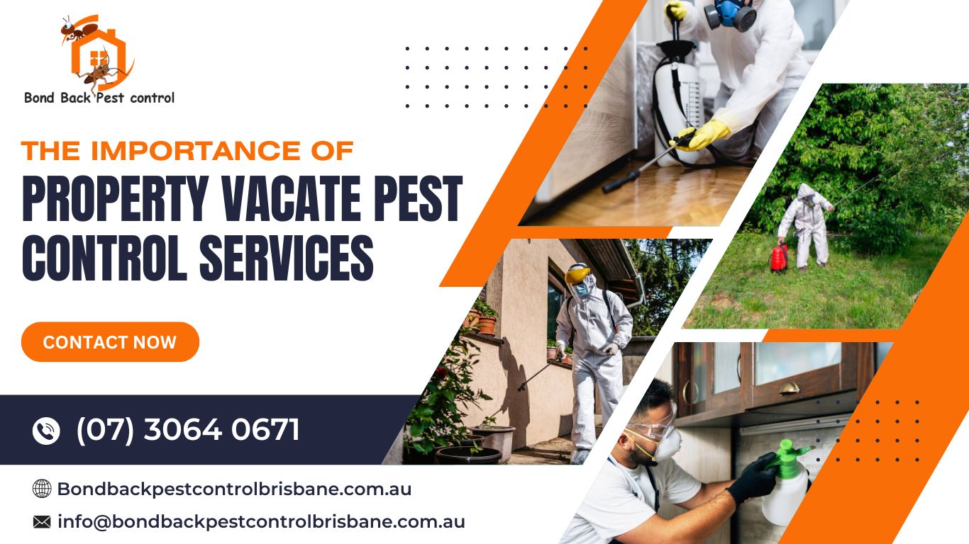 The Importance of Property Vacate Pest Control Services